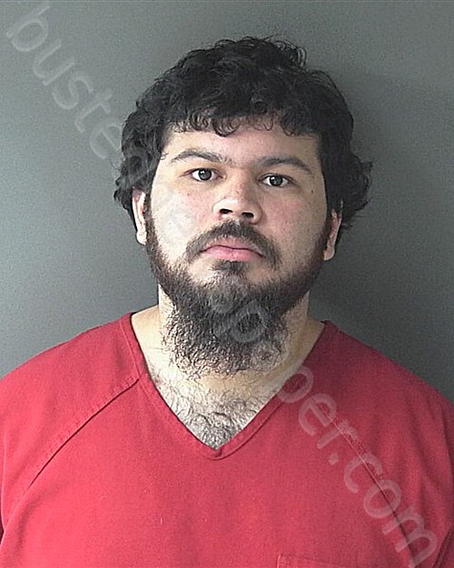 Edwin Villanueva-sevilla | 2025-11-15 Clinton County, Indiana Booking