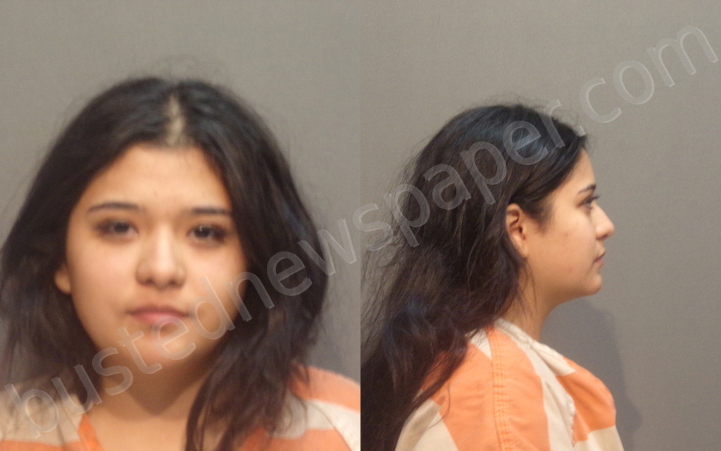 Reyna, Jacqueline | 2025-11-16 Wood County, Texas Booking