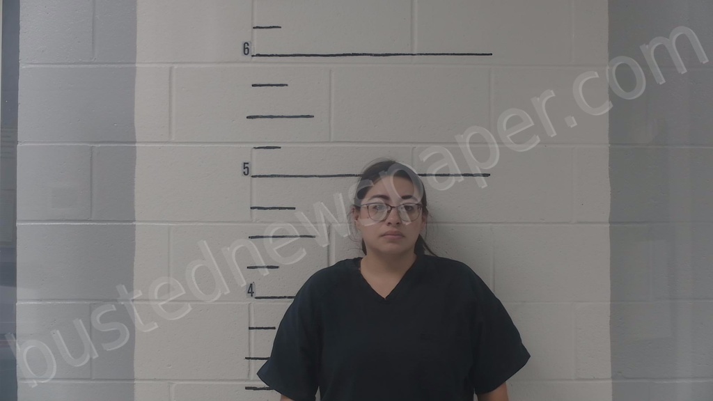 Parris, Sonia | 2025-11-16 Clay County, Alabama Booking