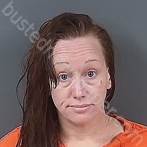 Daugherty, Rashelle K | 2025-11-17 09:05:00 Putnam County, Indiana Booking