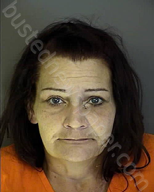 Pauley, Melissa Dawn | 2025-11-17 14:50:00 Horry County, South Carolina ...