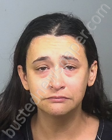 Sosa, Anna Maria | 2025-11-17 Manatee County, Florida Booking