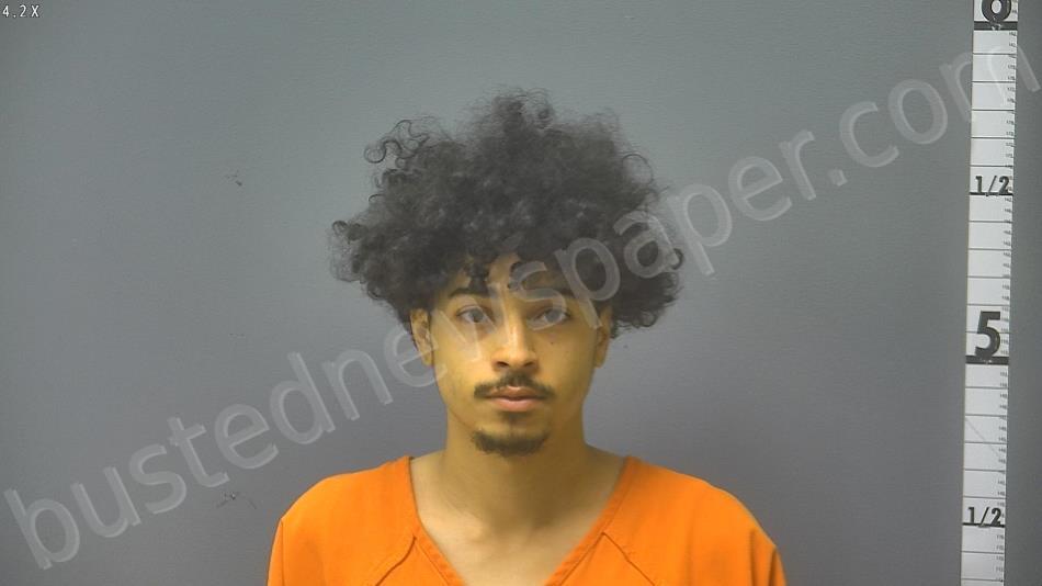 Mclaughlin, James | 2025-11-17 23:57:00 Middle River, Virginia Booking