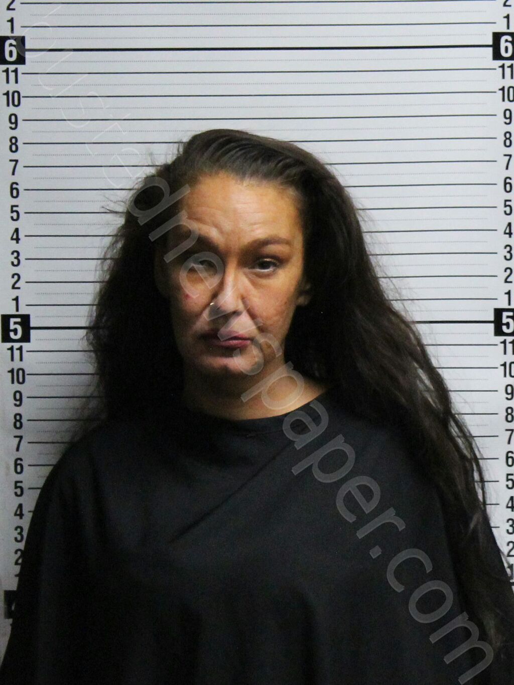 Economy, Lisa Marie | 2025-11-17 Brunswick County, North Carolina Booking