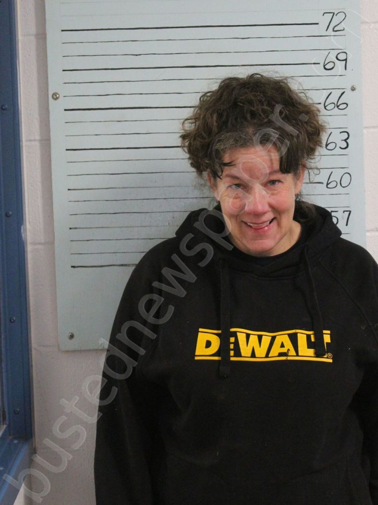 Castlio, Amy Marie | 2025-11-18 12:00:00 Ravalli County, Montana Booking