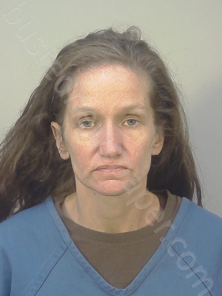 Mindy Ann Hosler | 2025-11-19 15:46:00 Dane County, Wisconsin Booking