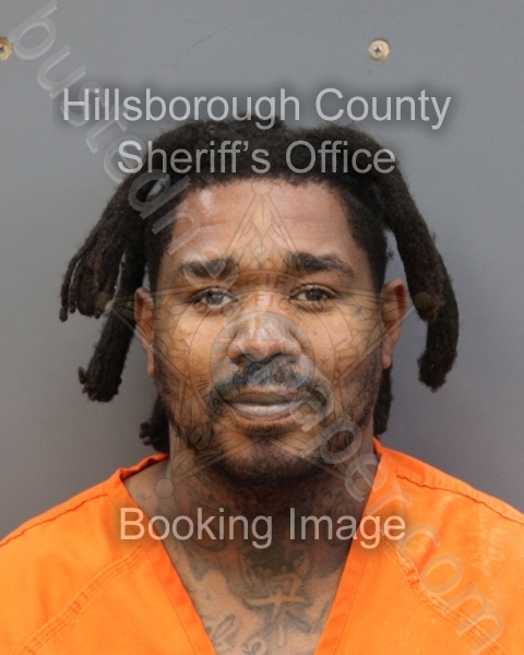 Fedrick,bryan | 2025-11-20 14:08:00 Hillsborough County, Florida Booking