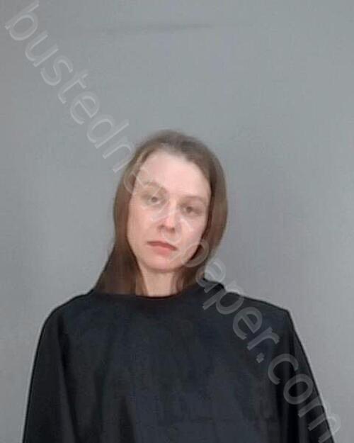 Baughman, Crystal Noelle | 2025-11-21 03:49:00 Summit County, Ohio Booking