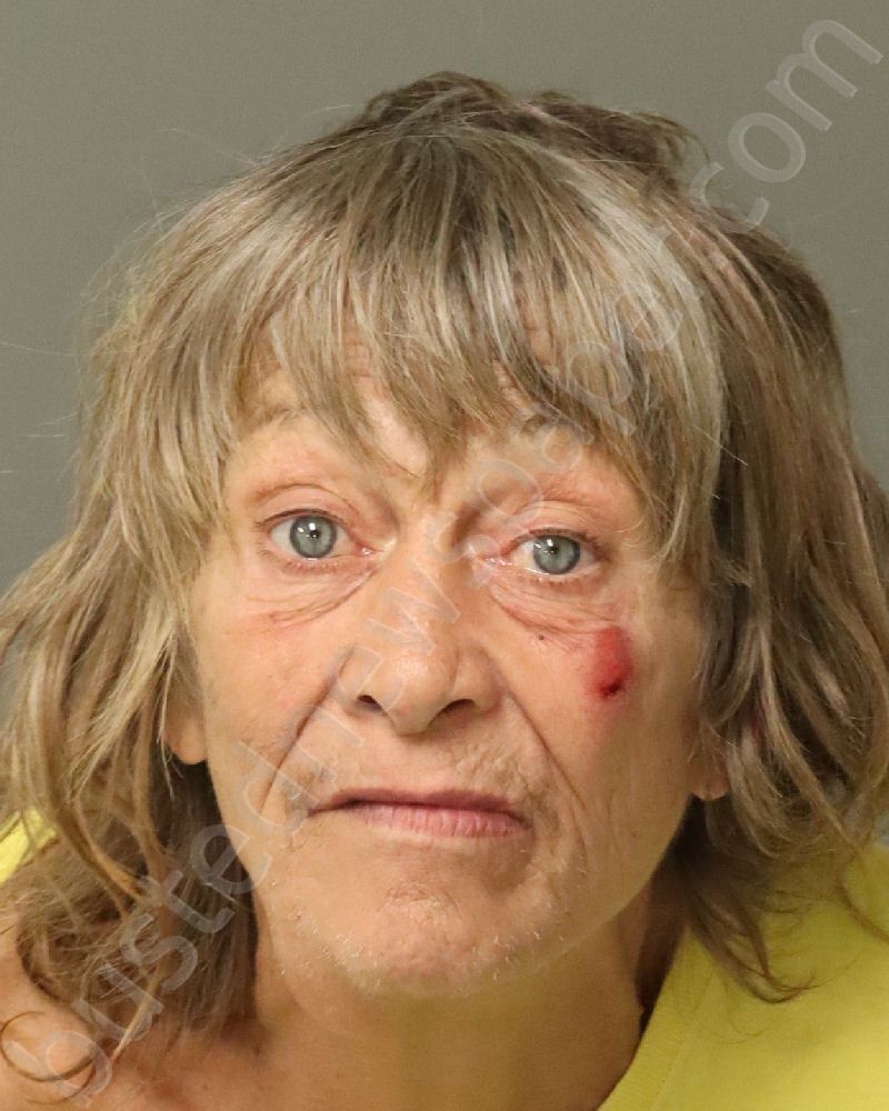 Baker, Sonya Lane | 2025-11-23 14:45:00 Wake County, North Carolina Booking