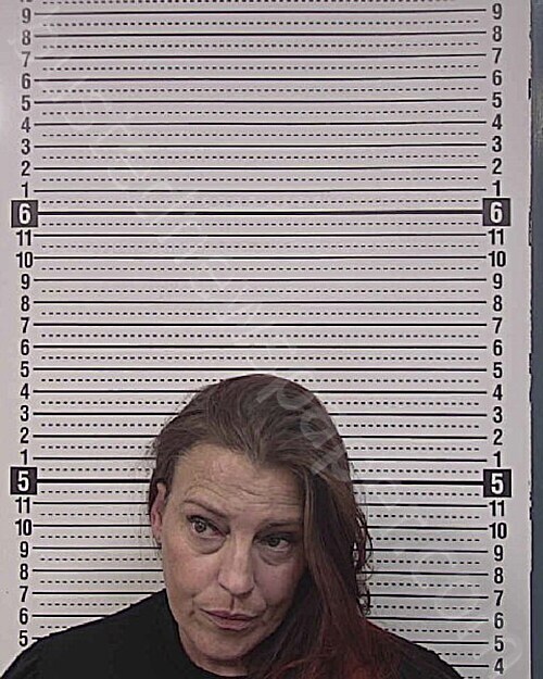 Foust, Melinda Kay | 2025-11-30 14:25:00 Caldwell County, North ...