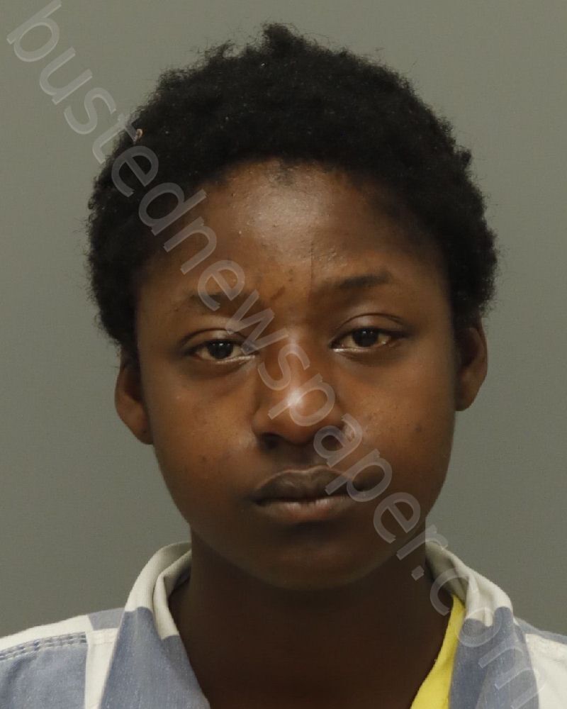 Bryant, Mekayla Briana | 2025-12-02 22:50:00 Wake County, North ...