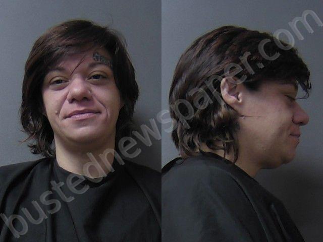 Abel, Megan Lynn | 2025-12-03 02:23:00 Madison County, Indiana Booking