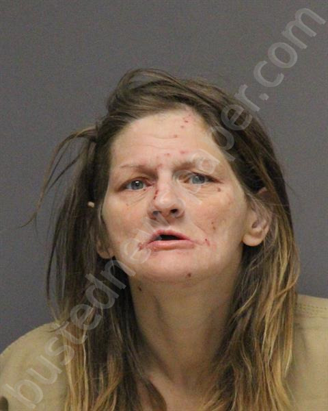 Ivins, Stacey Lynn | 2025-12-08 Ocean County, New Jersey Booking