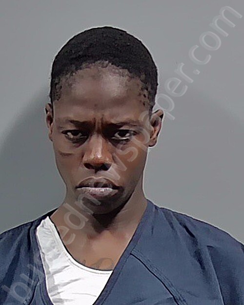 Boatman, Jennifer Denise | 2025-12-09 18:01:00 Escambia County, Florida ...