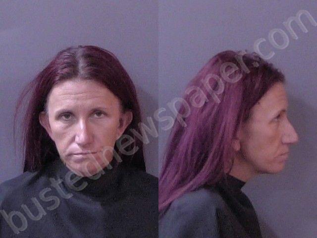 Adrianson, Tracy Dee | 2025-12-12 00:11:00 Hamilton County, Indiana Booking