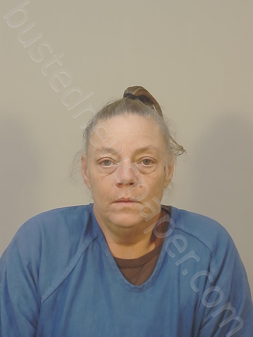 Serena Nicole Buckham | 2025-12-13 20:39:00 Dane County, Wisconsin Booking