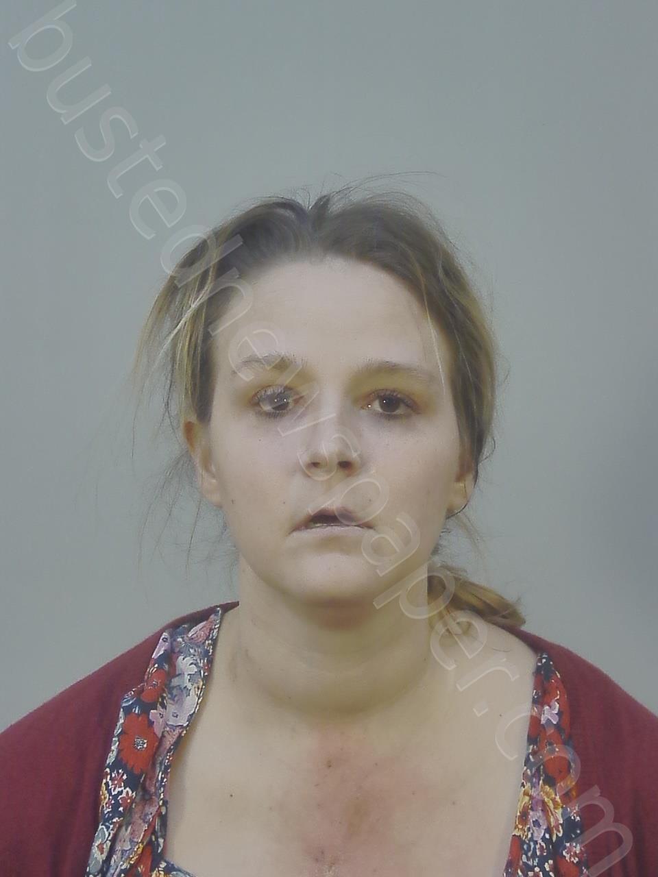 Renee Elizabeth Winn | 2025-12-17 11:33:00 Dane County, Wisconsin Booking