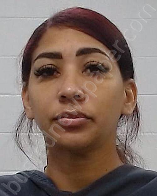 Brown, Stephanie Renea | 2025-12-18 10:23:00 Collin County, Texas Booking