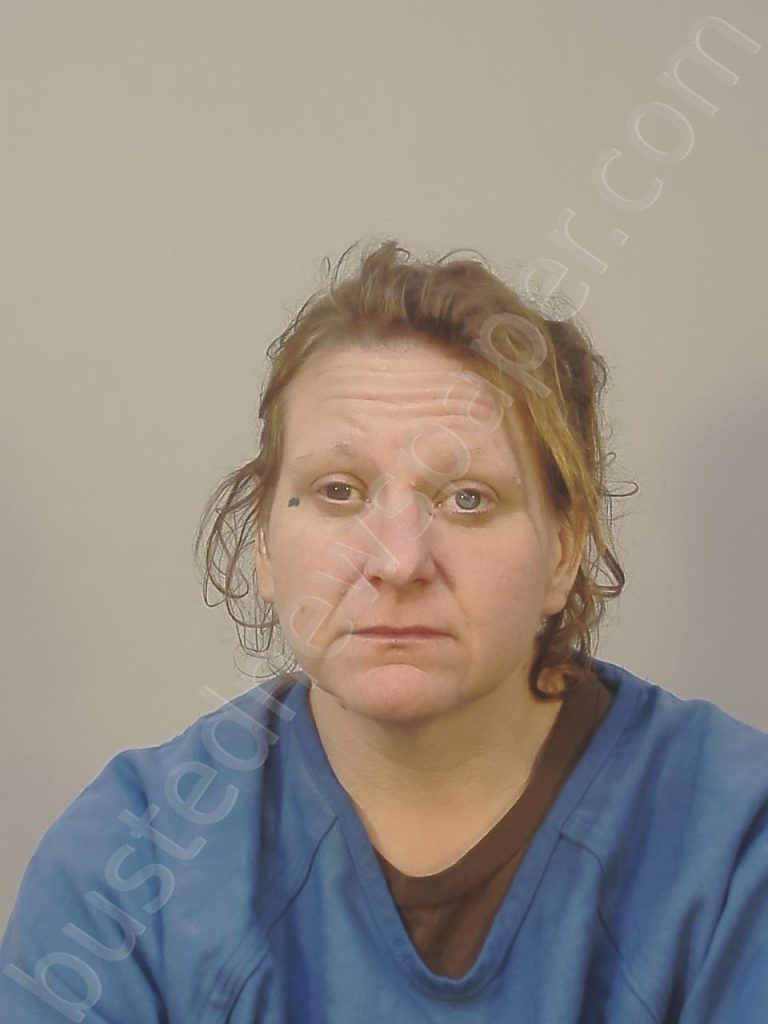 Tiffany Lynn Mercier | 2025-12-19 01:33:00 Dane County, Wisconsin Booking