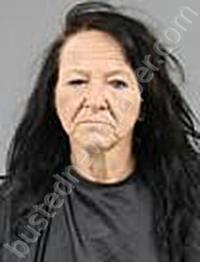 Freeman, Sonya Dianne | 2025-12-21 Anderson County, South Carolina Booking