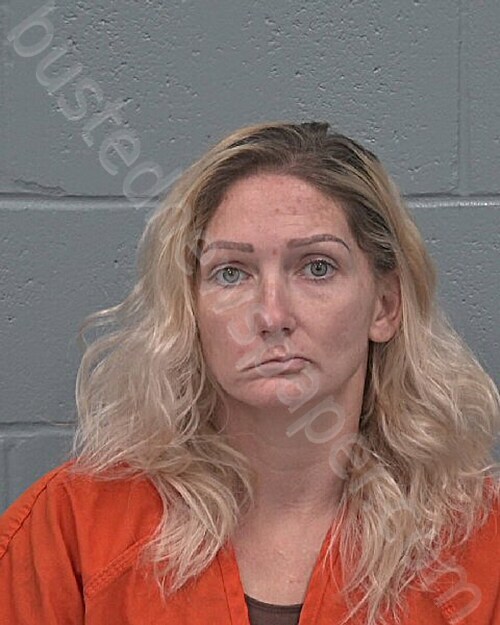 King, Michelle Lee | 2025-12-23 10:33:00 Pasco County, Florida Booking