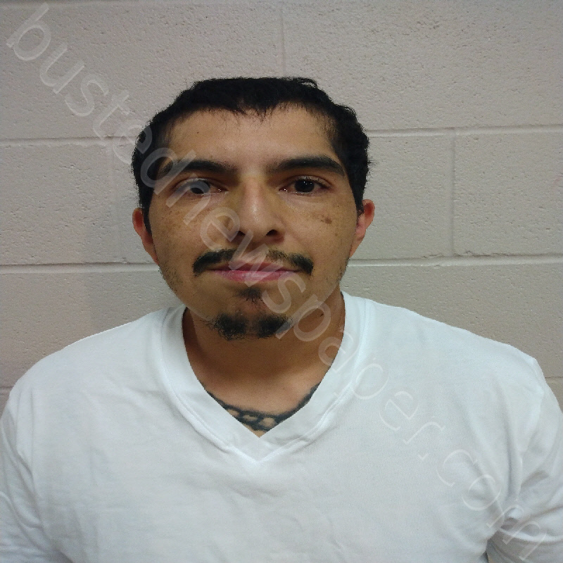 Bastardo, Cameron Zachary Taylor | 2025-12-24 02:37:00 Brown County ...