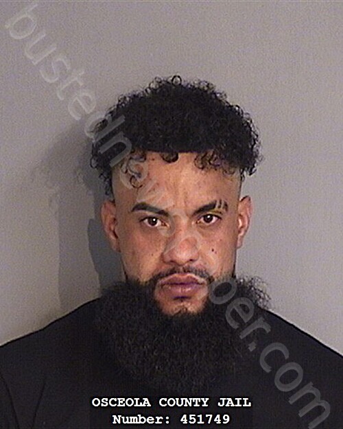 Sanchez-soto , Kidanny | 2025-12-25 Osceola County, Florida Booking