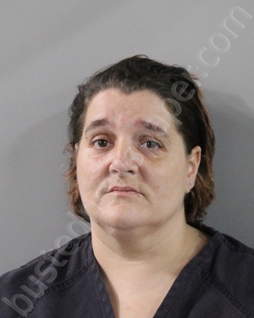 Capper, Emily | 2025-12-26 Polk County, Florida Booking