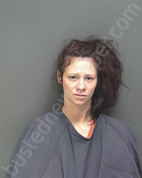 Dezirae Montana Owen | 2025-12-27 Clinton County, Indiana Booking