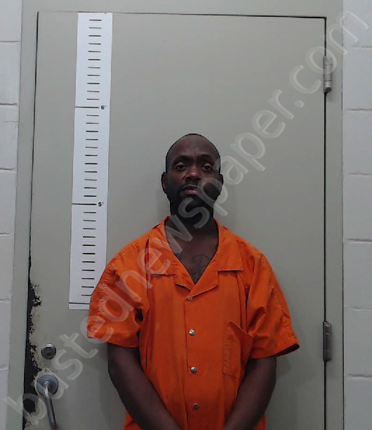 Gooden, Nelson Wilson | 2025-12-28 02:28:00 Chilton County, Alabama Booking