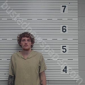 Bryant, Ryan Jake | 2025-12-28 10:55:02 Lawrence County, Alabama Booking