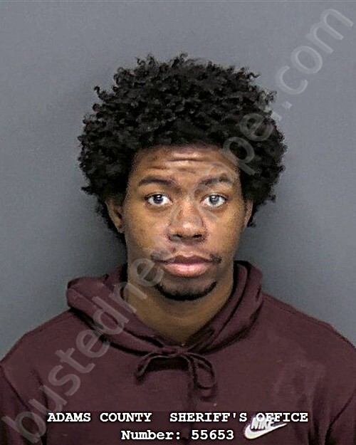 Hopson, Dylan Deray | 2025-12-28 05:05:27 Adams County, Indiana Booking