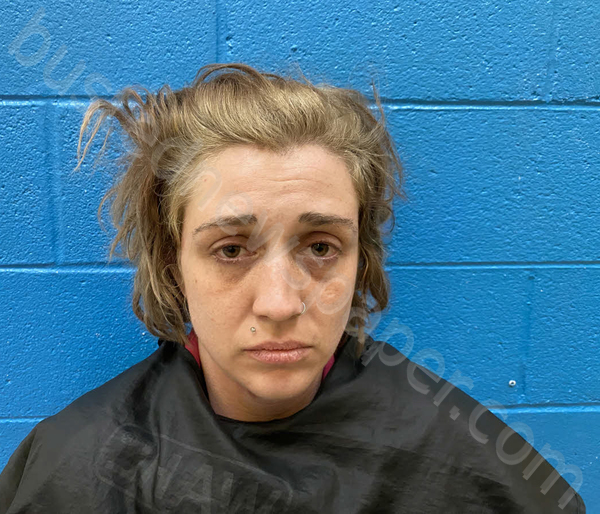 Powell, Meaghan | 2025-12-29 20:07:00 Mcdowell County, North Carolina ...