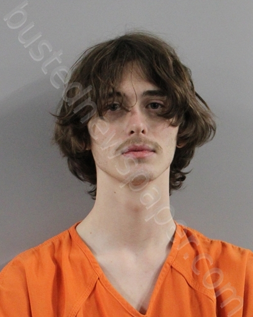 Patterson, Cameron Dayton | 2025-12-30 Polk County, Florida Booking