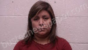 Gabriel-reynoso, Anaflor | 2025-12-30 23:36:00 Robertson County ...