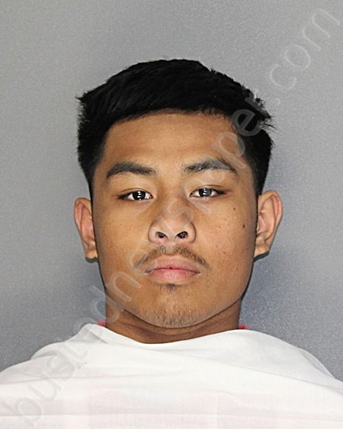 Dietas, Jared Jaybo | 2025-12-30 19:50:00 Ellis County, Texas Booking