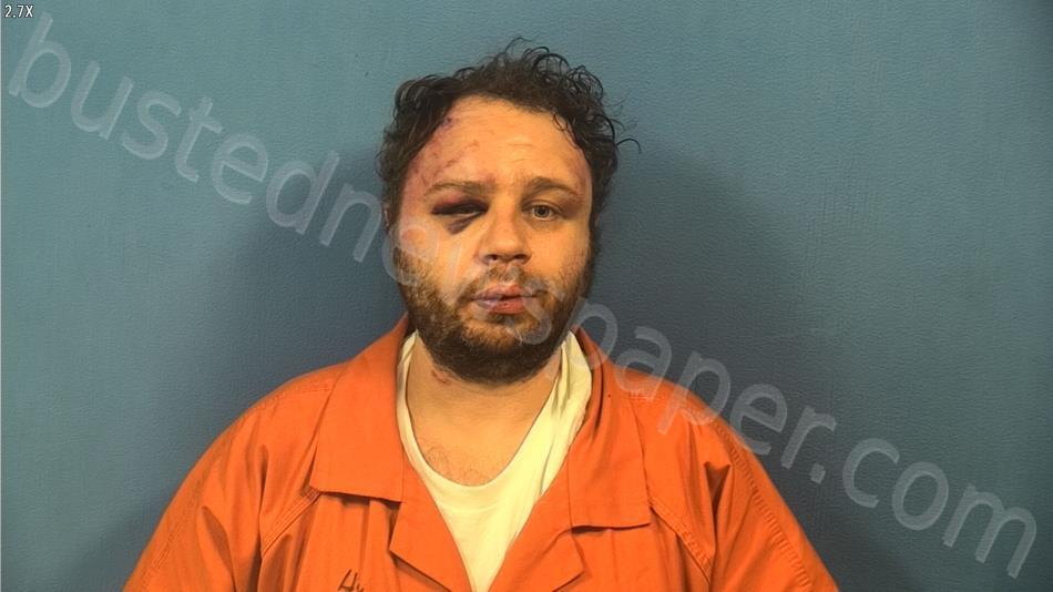 Pedicini Jr, Christopher | 2025-12-31 02:15:00 Dupage County, Illinois ...