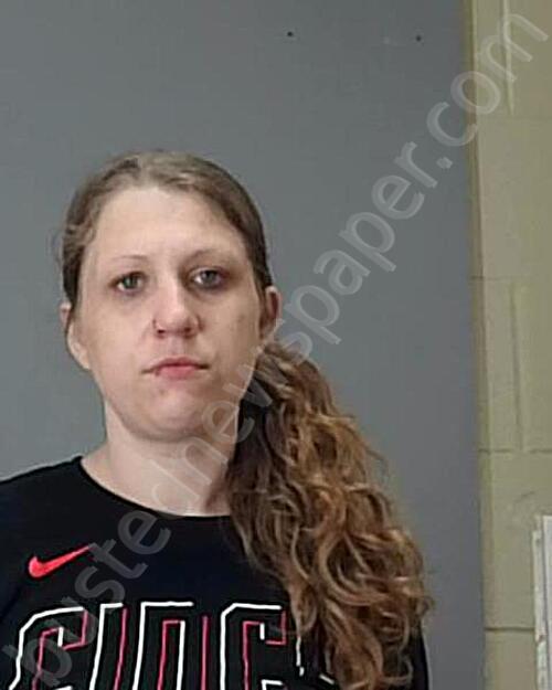 Romans, Ashley Renae | 2025-12-31 09:17:00 Summit County, Ohio Booking