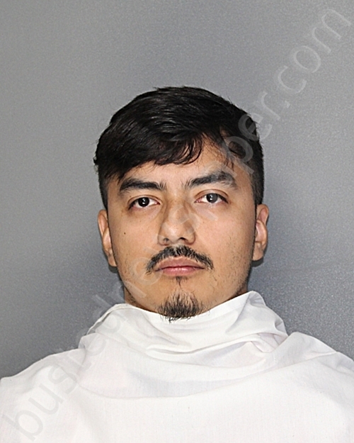 Tovar Puente, Ramon | 2025-12-31 08:18:55 Ellis County, Texas Booking