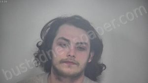 Harrell, Nicholas Paige | 2026-01-01 07:53:00 Rockbridge Regional Jail ...