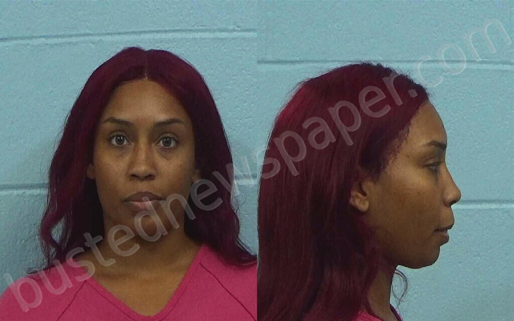 Layton, Yahaida Eezabelle | 2026-01-01 Williamson County, Texas Booking