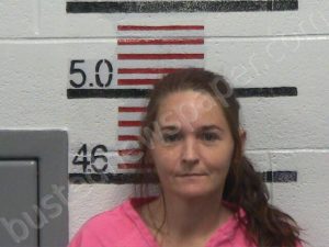 Smith, Michelle M | 2026-01-01 08:33:00 Scott County, Tennessee Booking