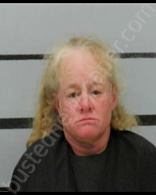 Swindall, Christy Lynn | 2026-01-02 Lubbock County, Texas Booking