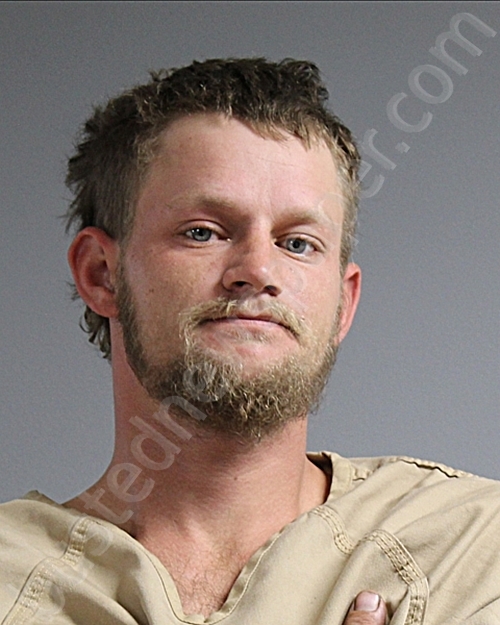 Lewis, Dalton Tyler Ray | 2026-01-02 Palo Pinto County, Texas Booking