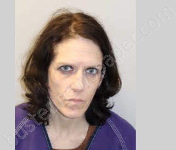 Edwards, Danielle Dev | 2026-01-02 18:47:00 Leon County, Florida Booking