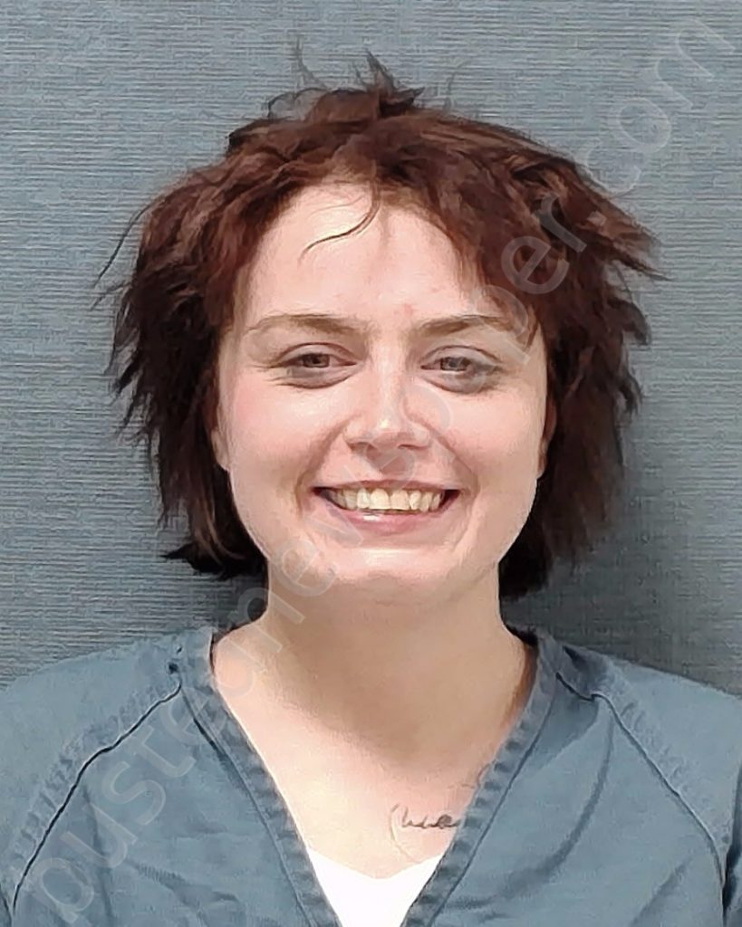 Needles, Somer Marie | 2026-01-02 01:00:00 Stark County, Ohio Booking