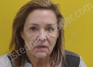 Hollis, Elizabeth Anne | 2026-01-03 09:00:00 Fairfield County, Ohio Booking