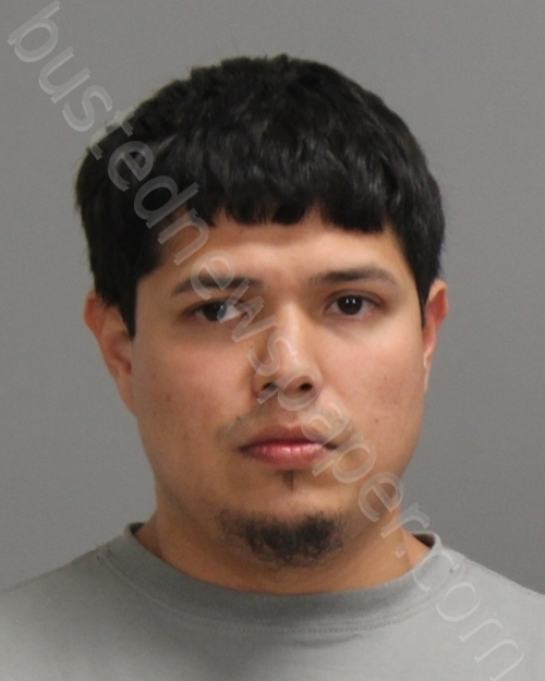 Hernandez, Christian Edward | 2026-01-03 Brazos County, Texas Booking