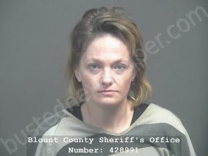 Mckee, Rebekah Katelan | 2026-01-03 11:36:00 Blount County, Tennessee ...