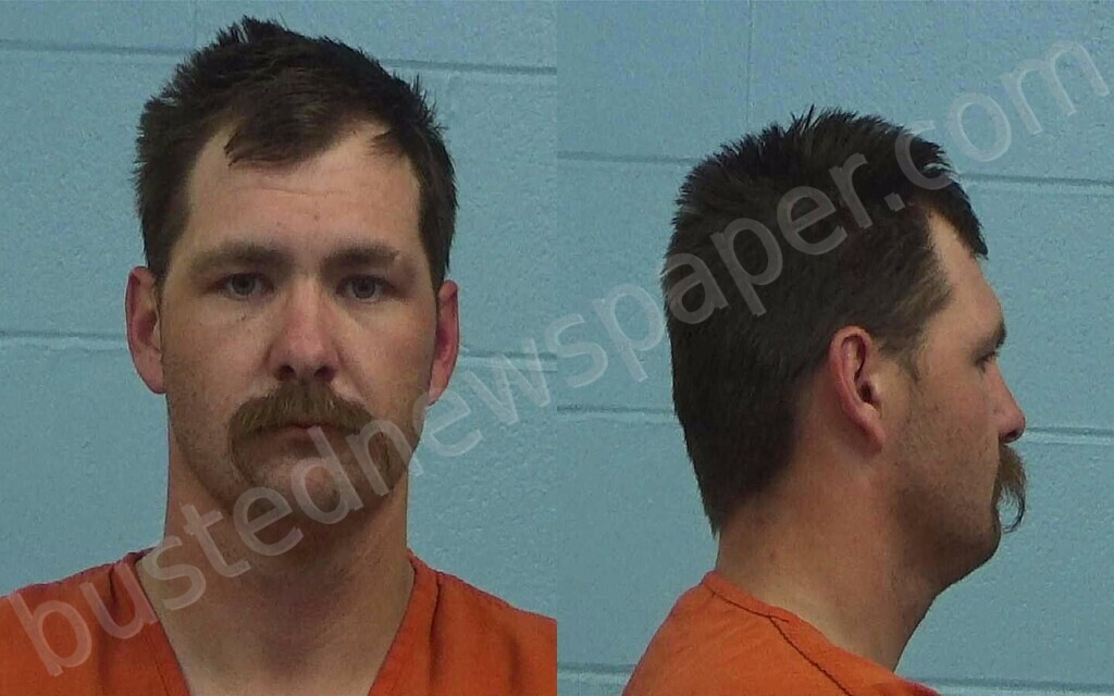 Collins, Taylor Mathews | 2026-01-04 Williamson County, Texas Booking